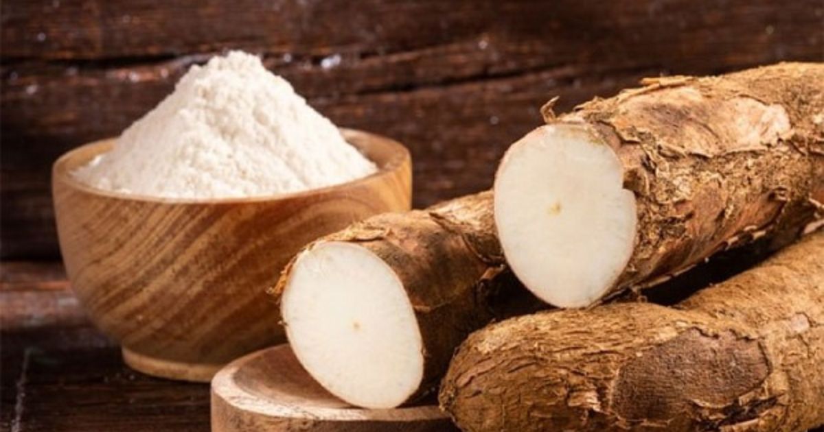 Referred instructions on how to compost cassava pulp for cows to help ...