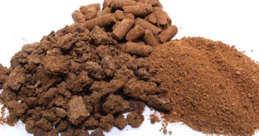 Khô dầu dừa là gì? Nên sử dụng khô dầu dừa thay thế protein trong thức ...